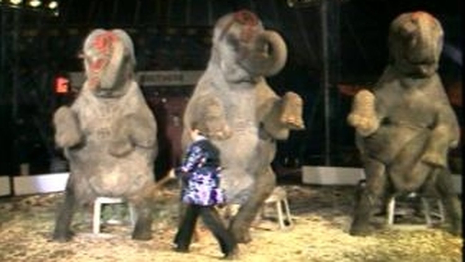 RTÉ Archives | Collections | Roberts Brothers Circus