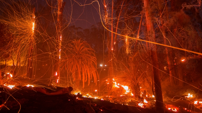 Ground gained on California wildfires after weak winds