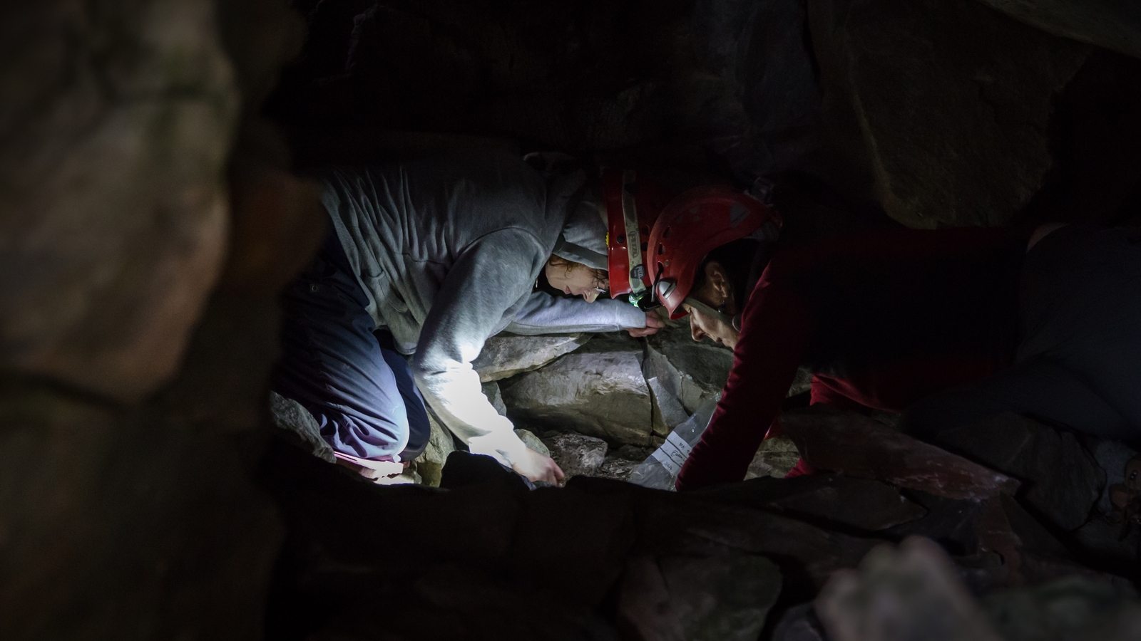 Bones show evidence of Neolithic ritual at Mayo site