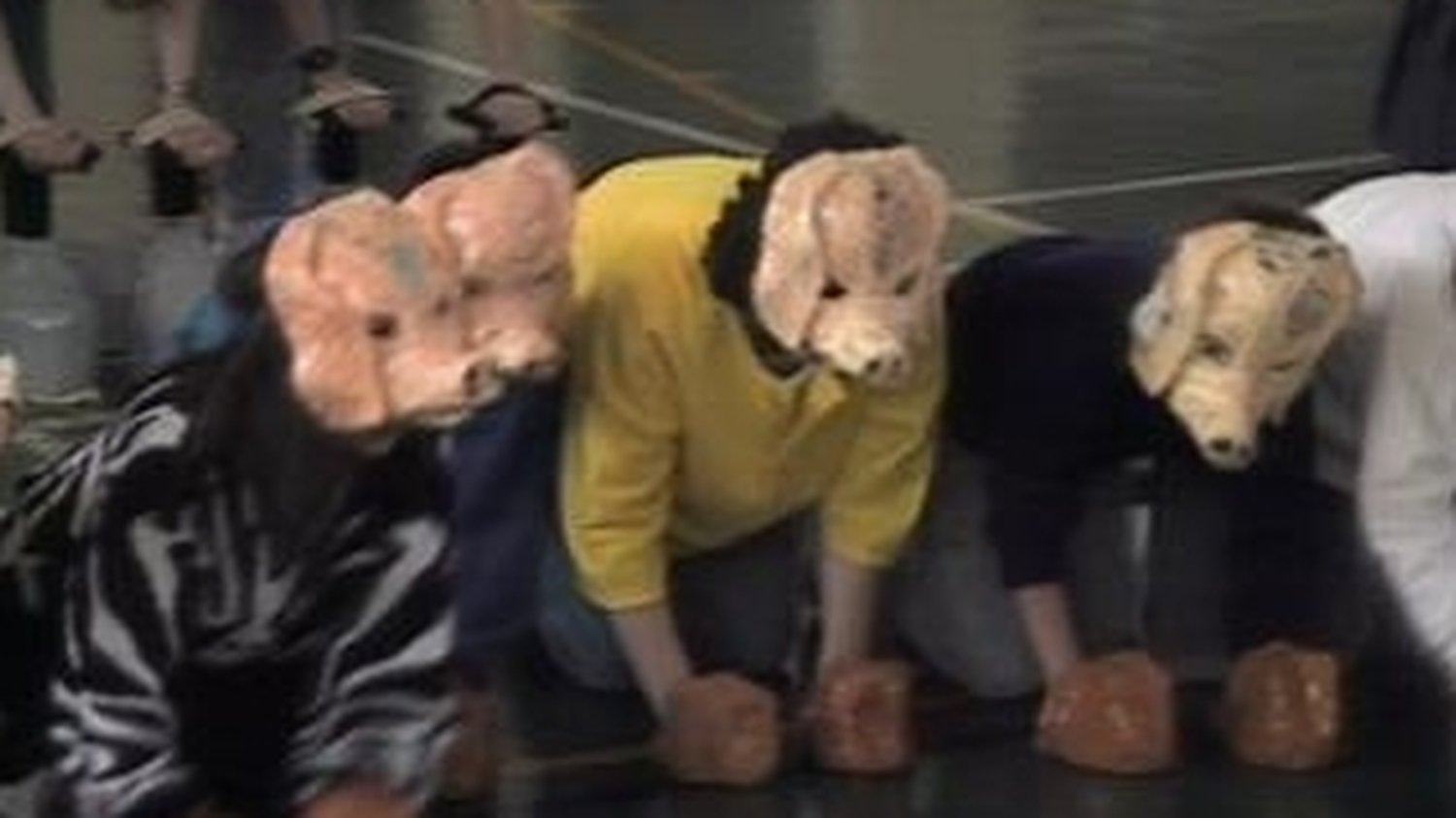 RTÉ Archives | Collections | Musical Version Animal Farm