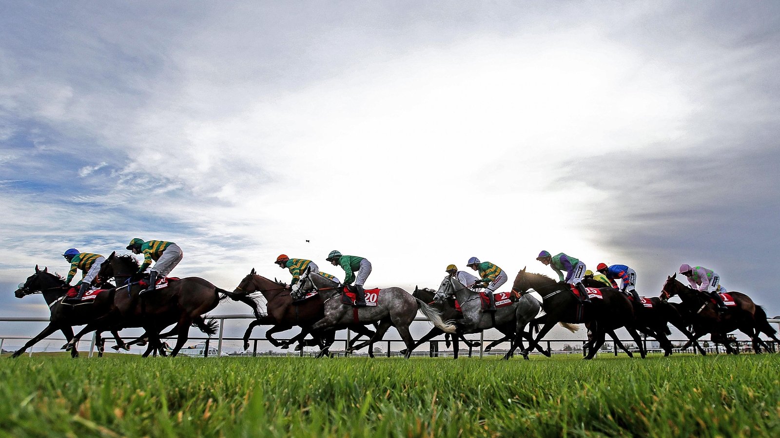 RTÉ Sport agrees to televise live racing until 2020