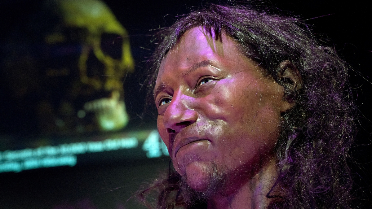 'Likely' early Irish were also dark-skinned | Morning Ireland - RTÉ Radio 1