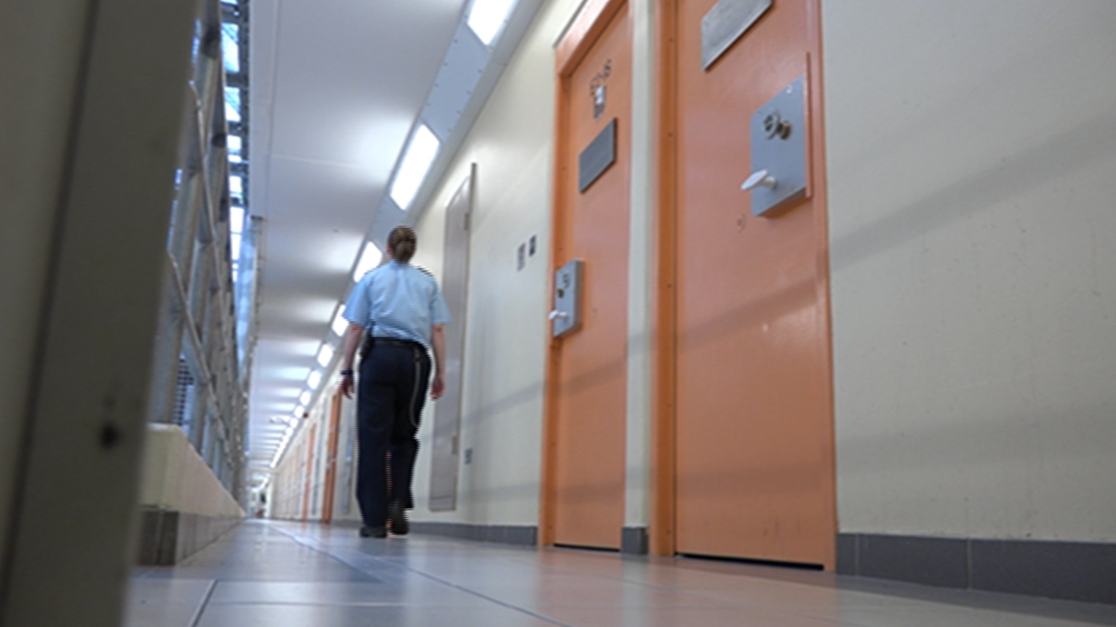 Figures show half of prisoners re-offend after release