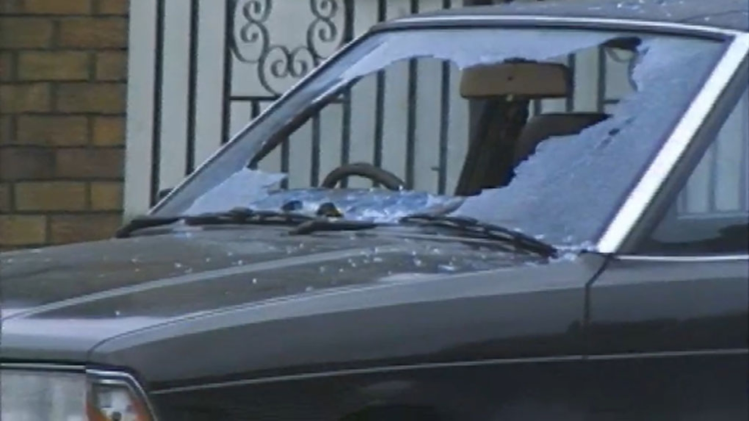 RTÉ Archives | Society | Criminal Damage