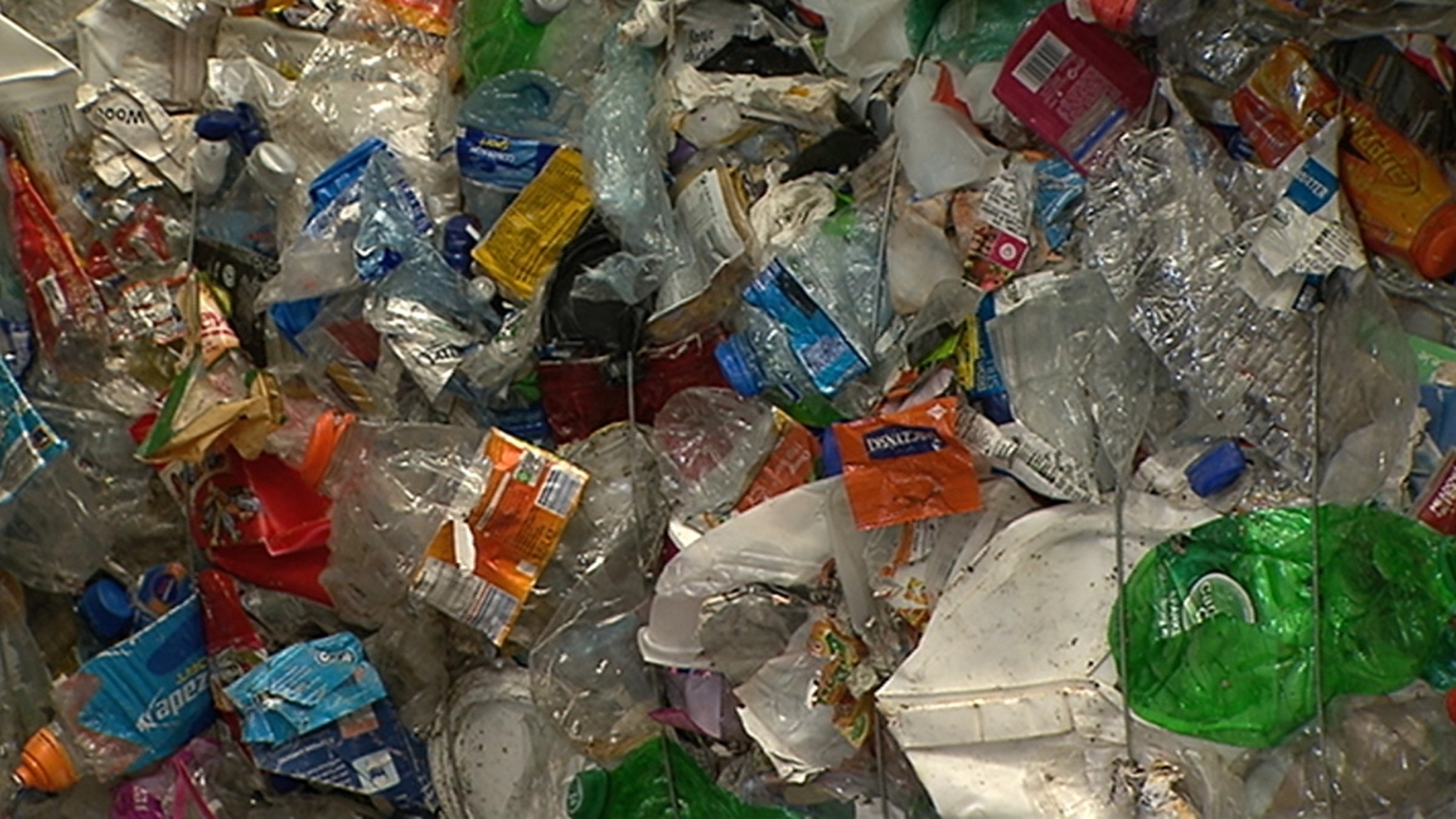 73% of deep sea fish ingested plastic – NUIG study