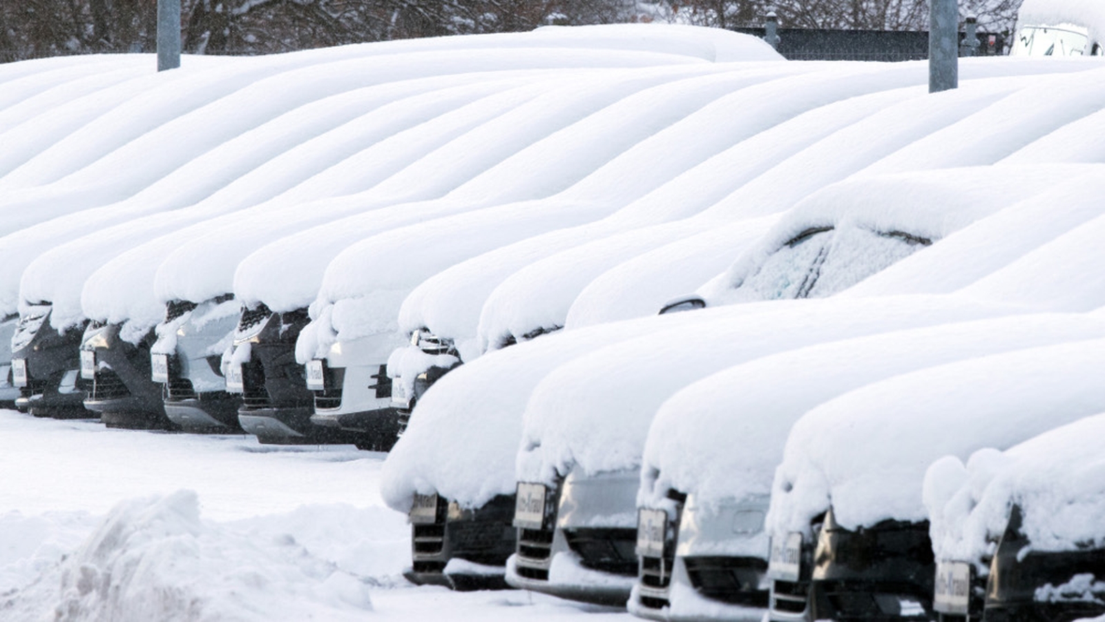 Extremely cold conditions forecast for later this week