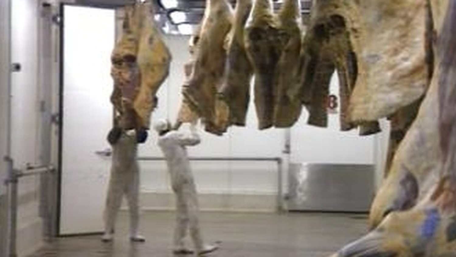 RTÉ Archives | Collections | Beef Storage Worries