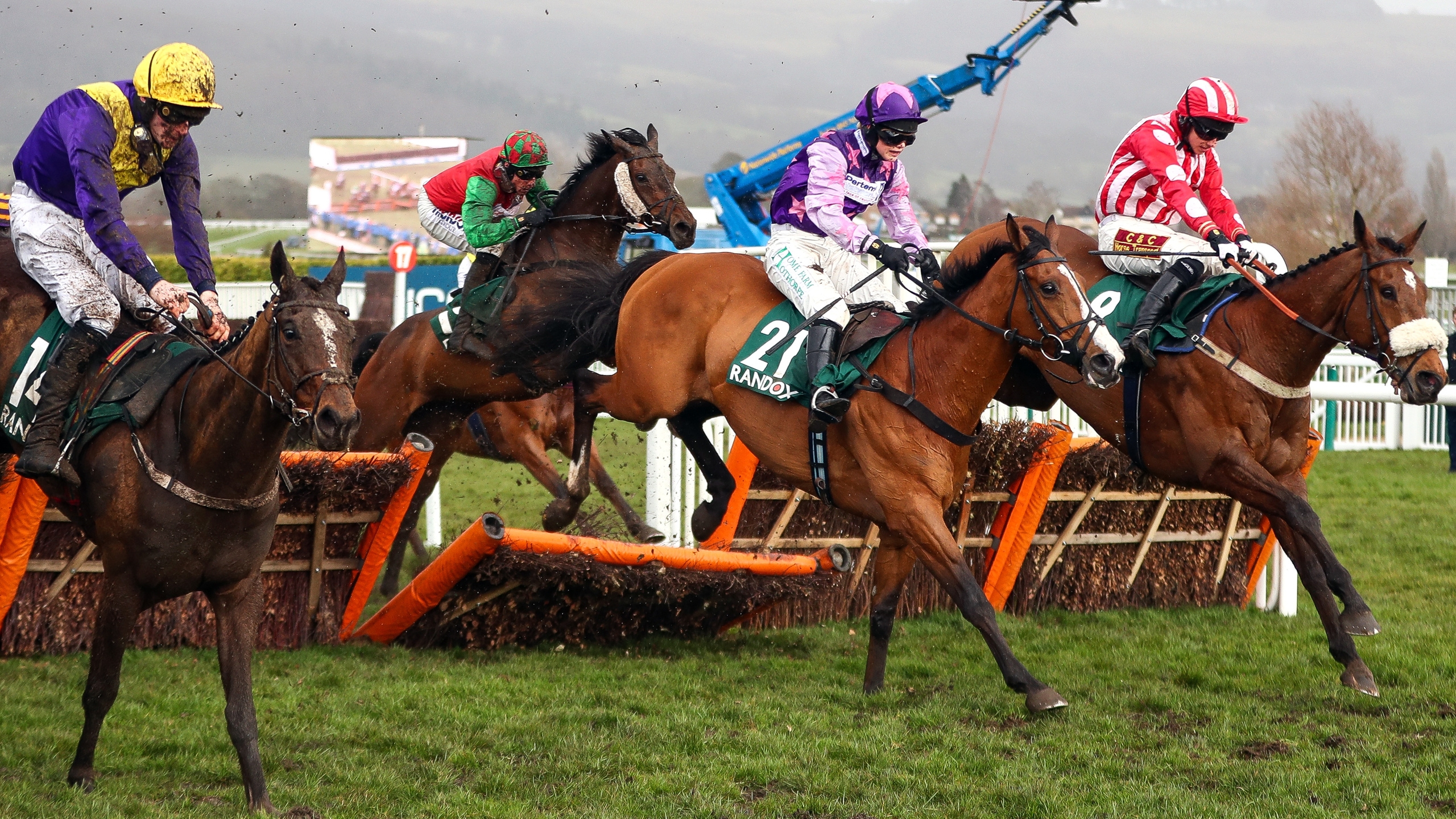 Cheltenham Festival: Gold Cup Day