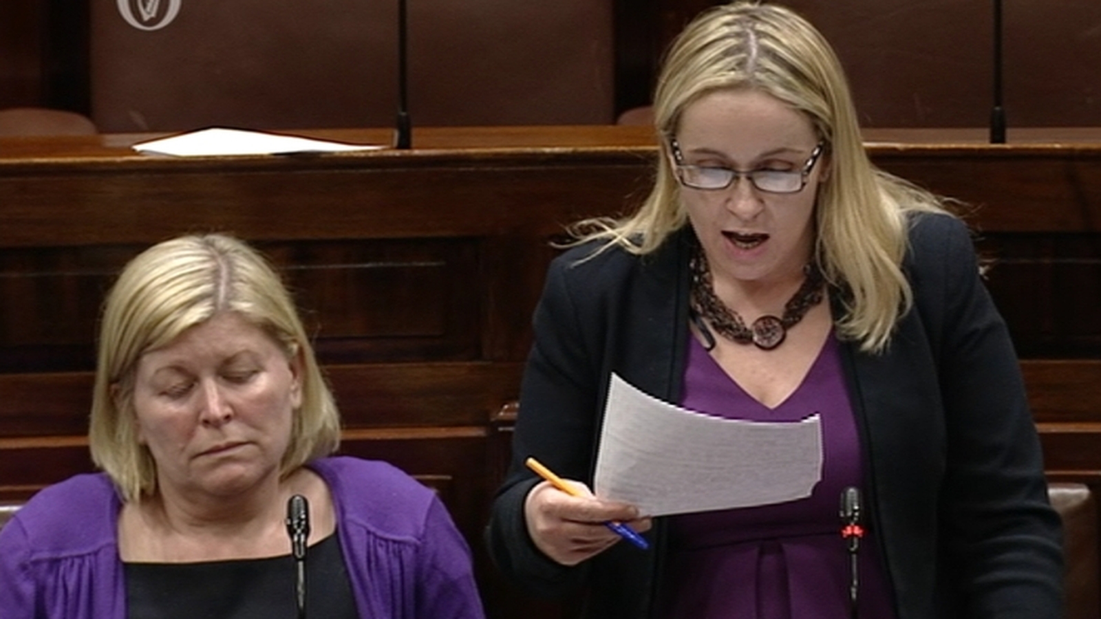 Carol Nolan TD ag imeacht as Sinn Féin