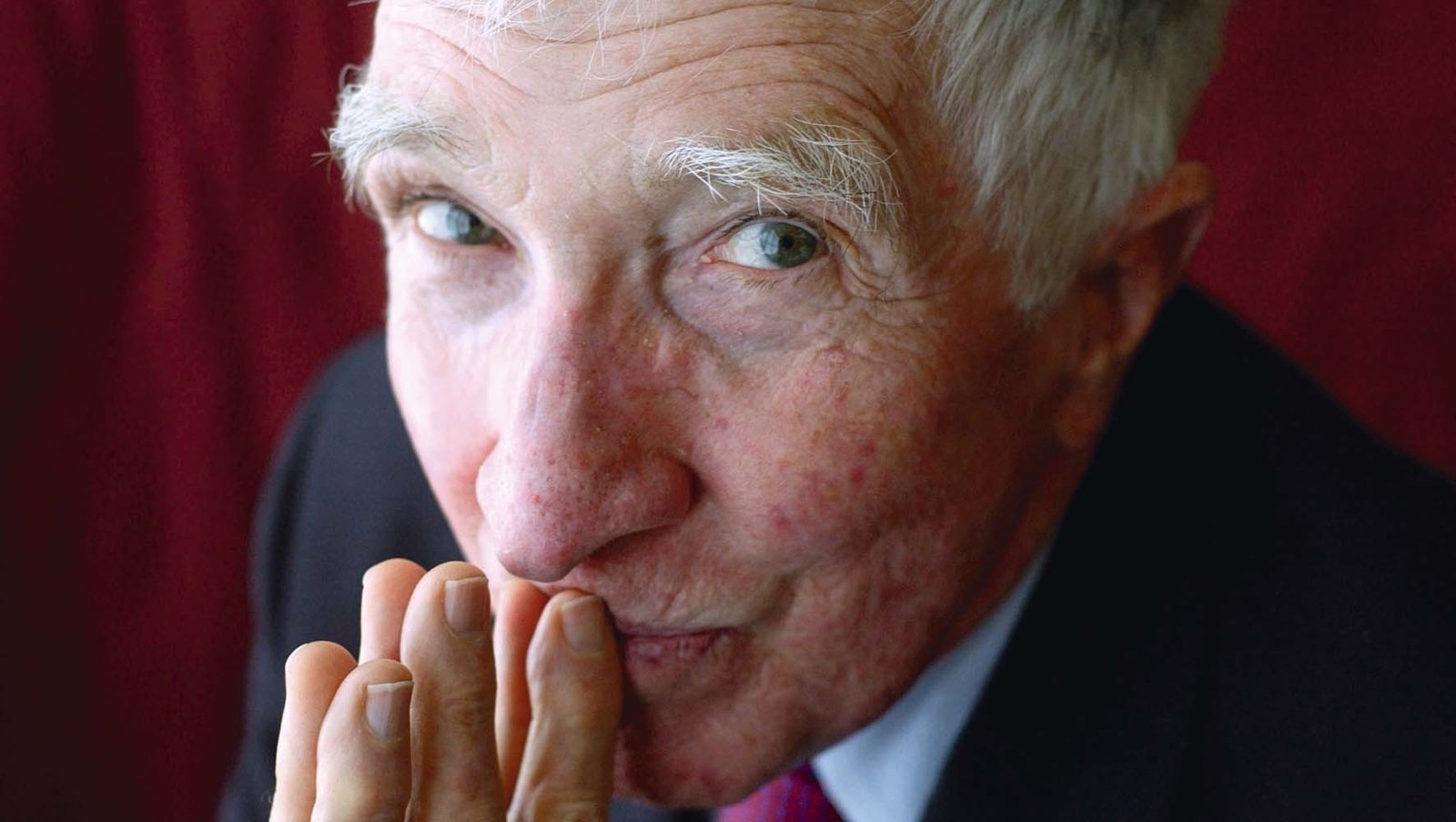 John Updike: "a kind of field guide to American society"