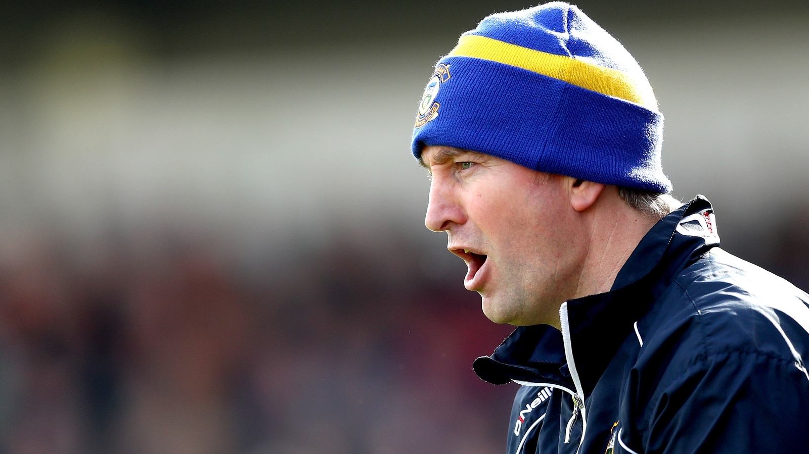 Ryan: 'Cats at their best hit you & they hit you hard'