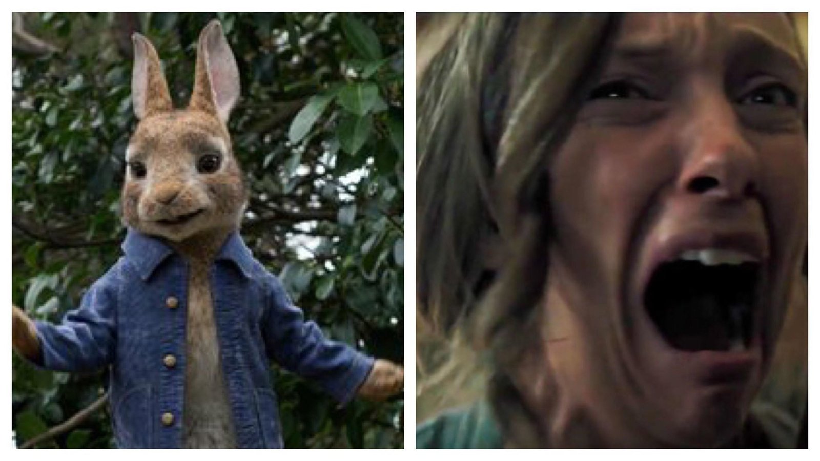 Gabriel Byrne horror terrifies Peter Rabbit audience