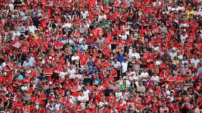 'Fickle' Cork fans bring welcome pressure for Cadogan