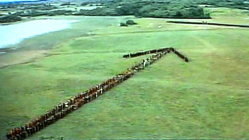 Special event to mark anniversary of Alfred The Great