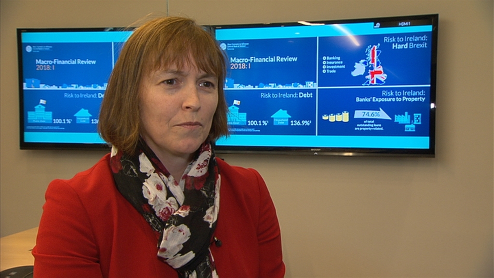 Ireland learned crisis lessons the hard way - Donnery