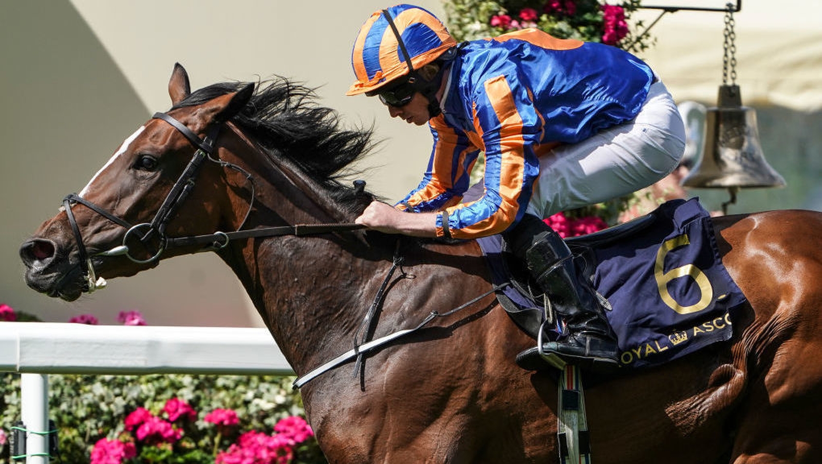 O'Brien looking to wave Magic Wand in Hong Kong