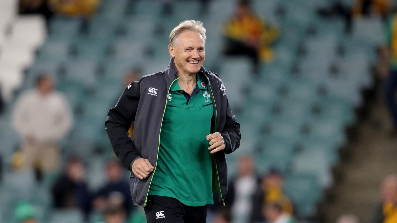 Schmidt praises Ireland's 'character' after series win