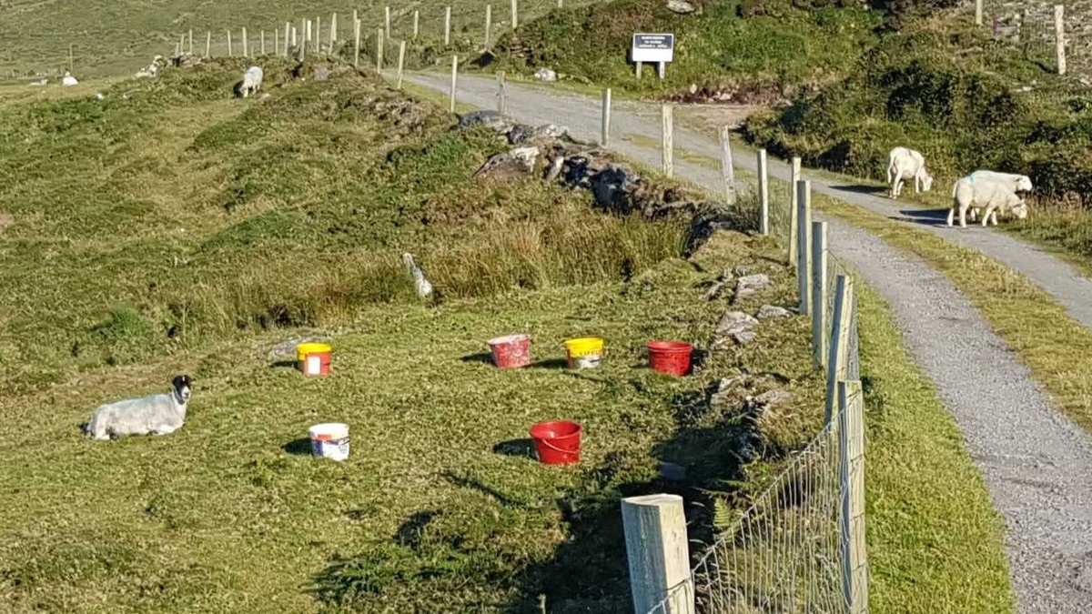 Drought conditions not unusual in 19th Century Ireland | News At One ...