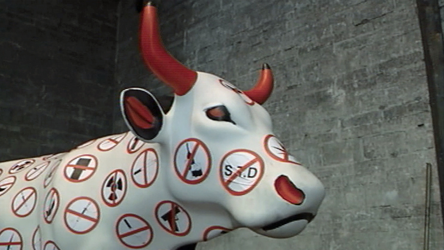 RTÉ Archives | Society | The No Cow