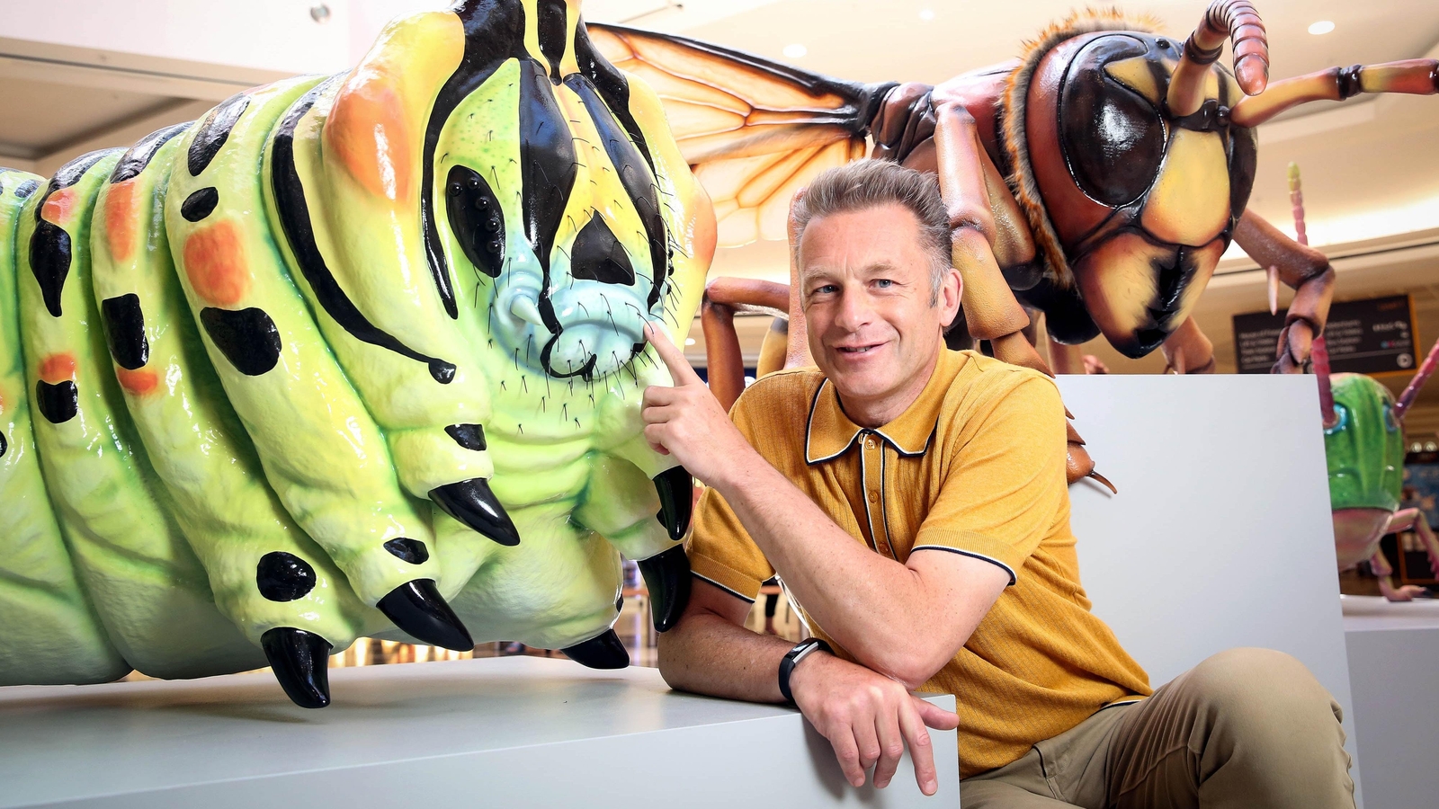 Chris Packham: 7 tips to get children interested in nature