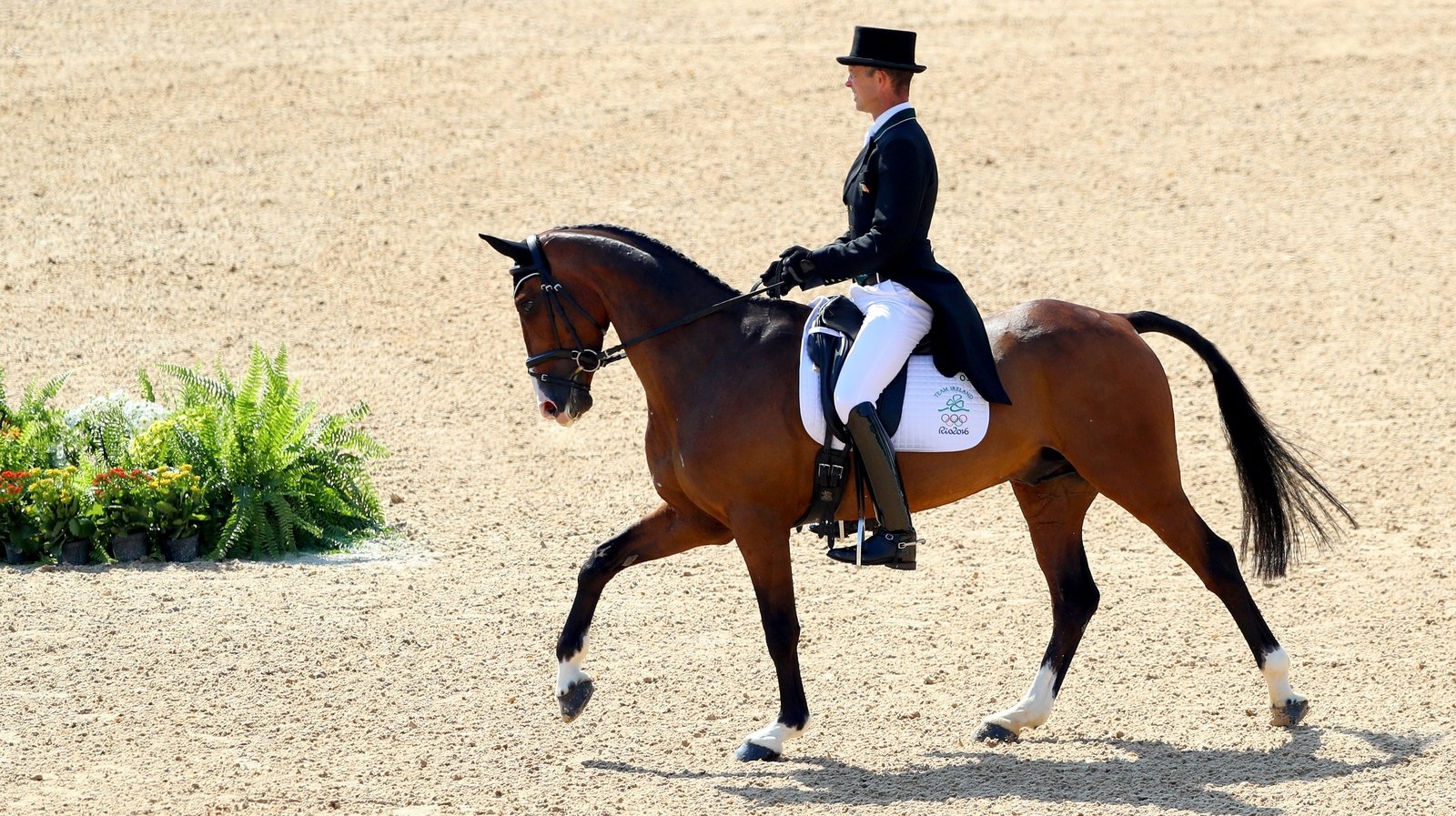 Evans moves to UK neuro unit as recovery continues