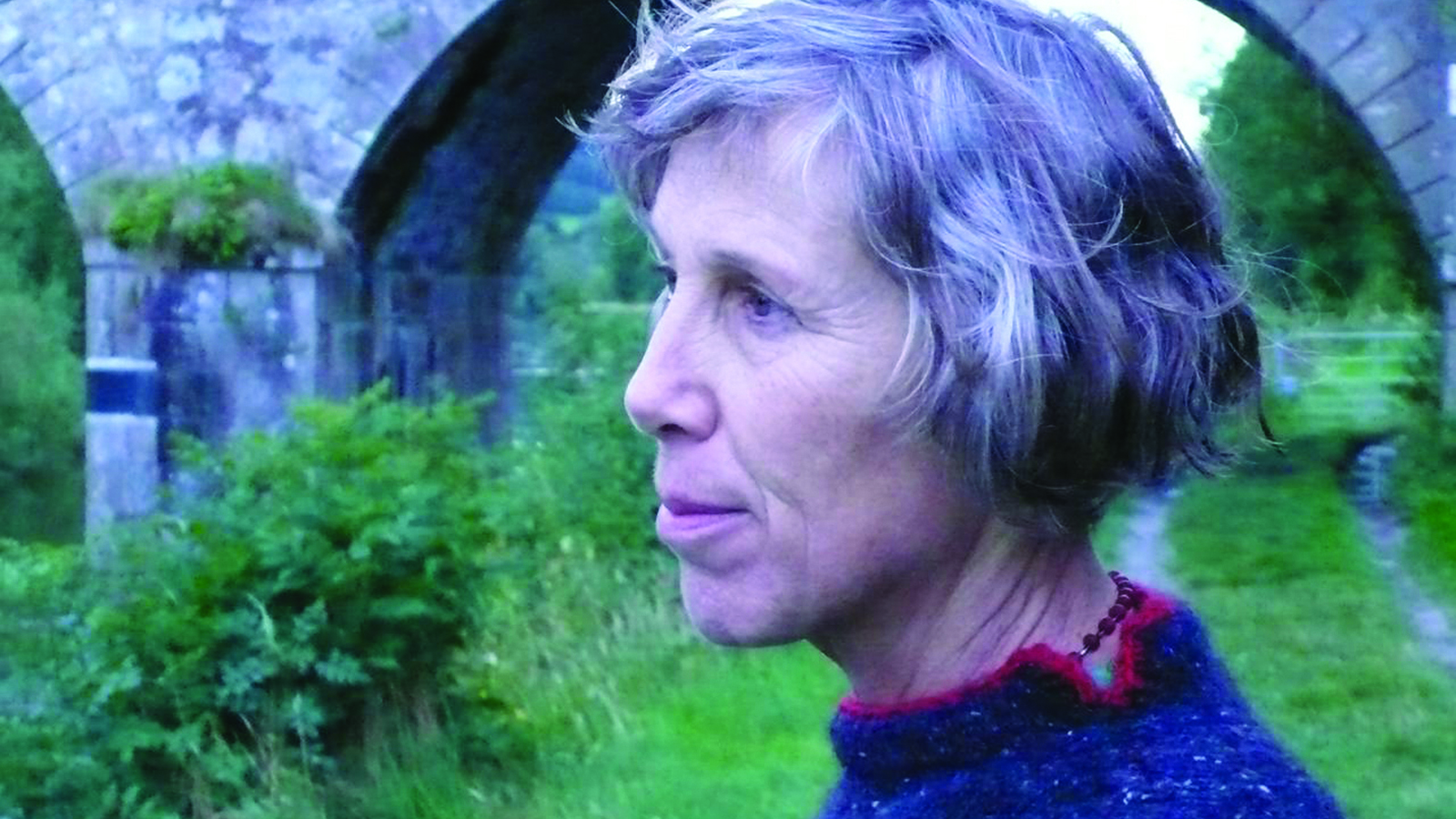 Poem Of The Week: The High Pyrenees by Kerry Hardie