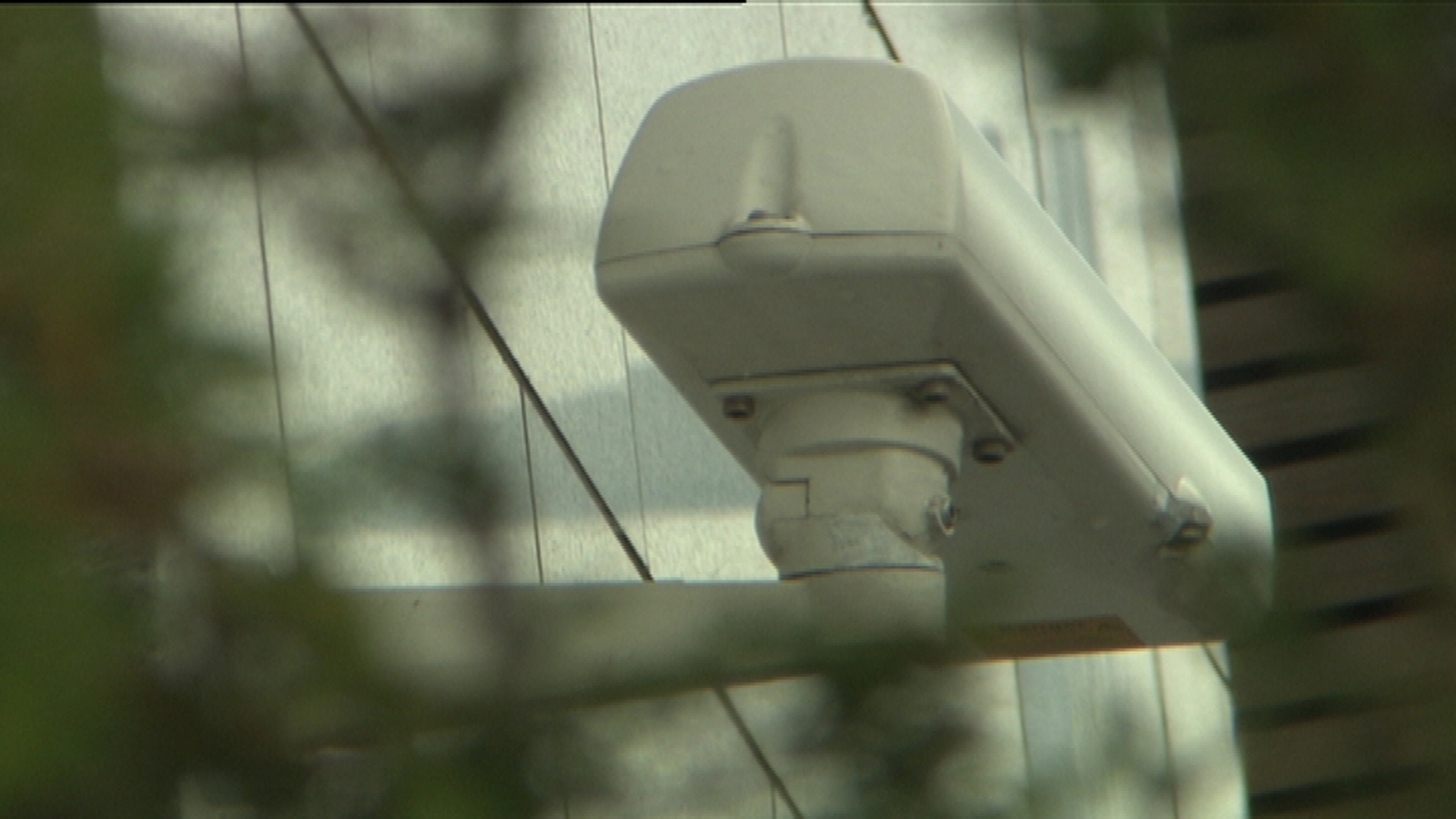 Netwatch on look out for new business