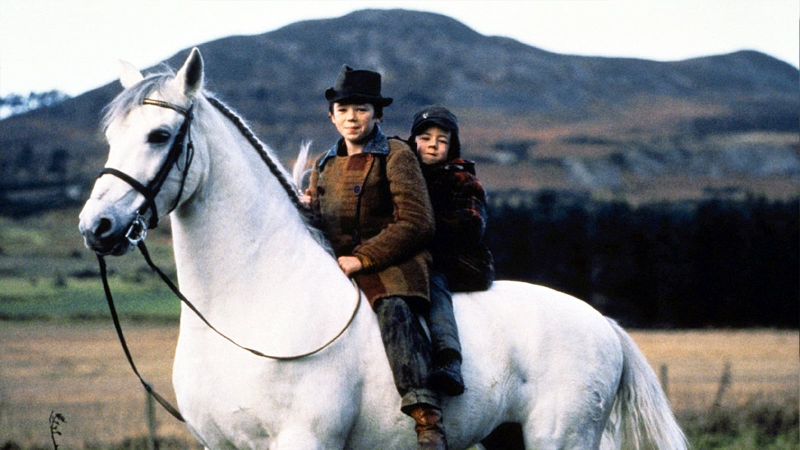 Scannáin na Nollag ar TG4