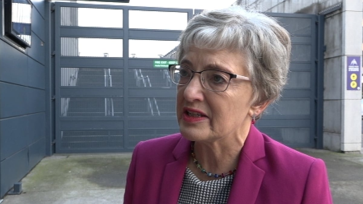 Zappone seeks 12-month extension to mother-and-baby homes investigation ...