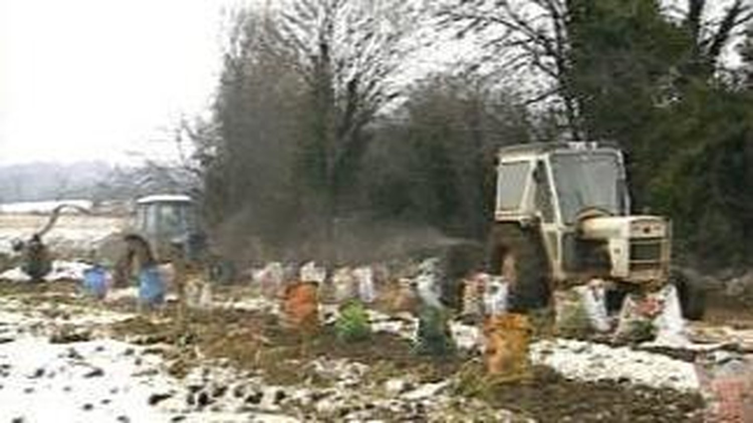 RTÉ Archives | Collections | Bad Weather Affects Farming