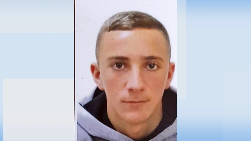 Appeal issued to trace teenager missing from Wicklow