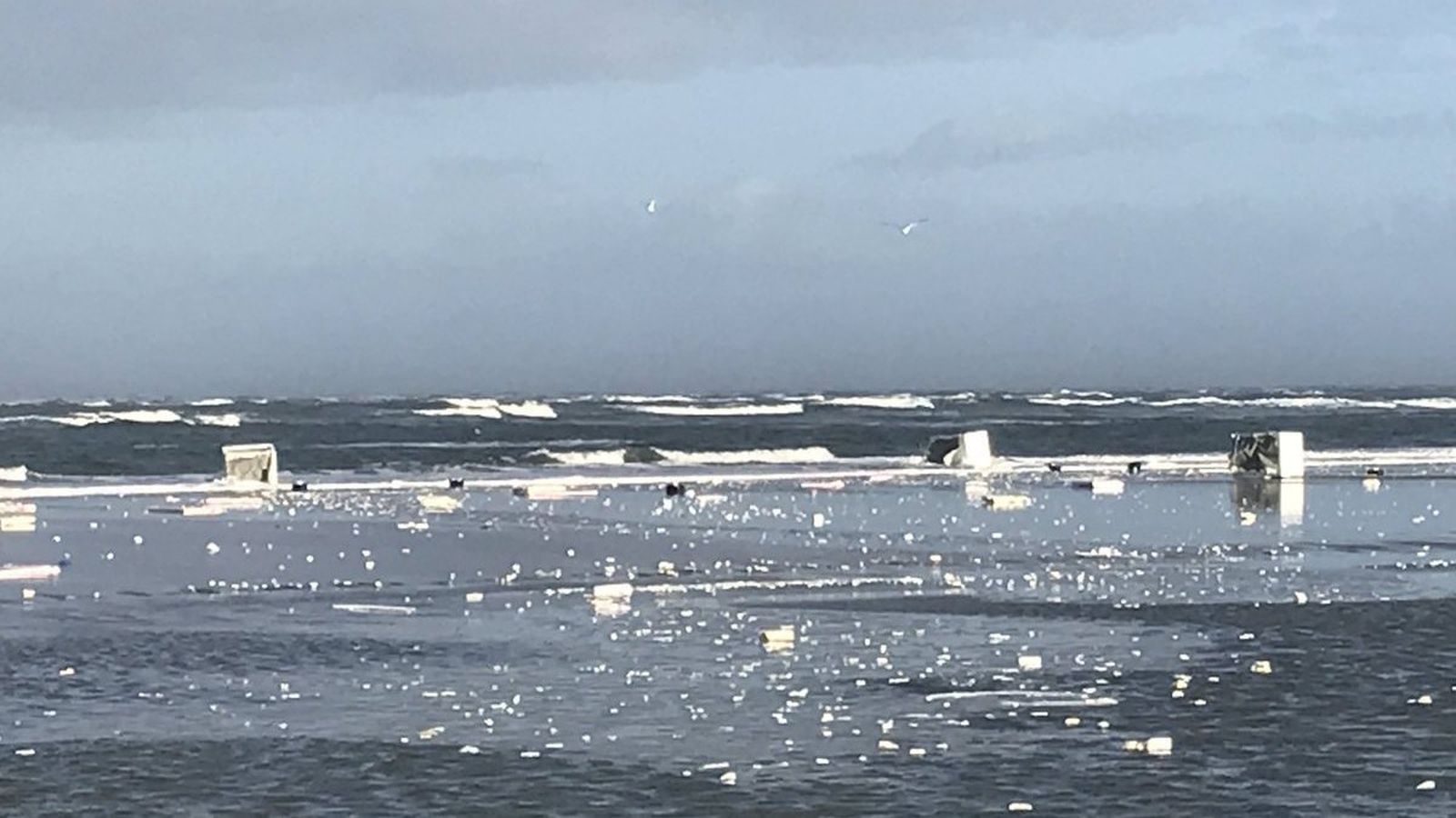 Debris washes ashore as containers lost off Netherlands