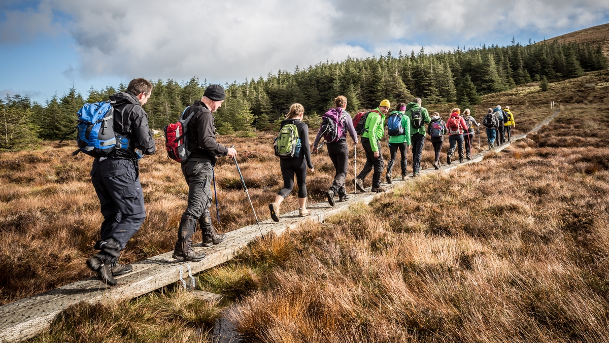 Park's and Wildlife Services remind the importance of social distancing ...