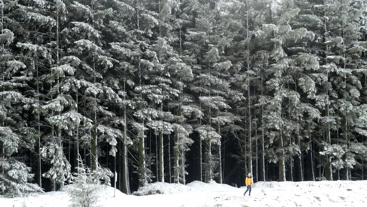 Weather Forecast | Morning Ireland - RTÉ Radio 1