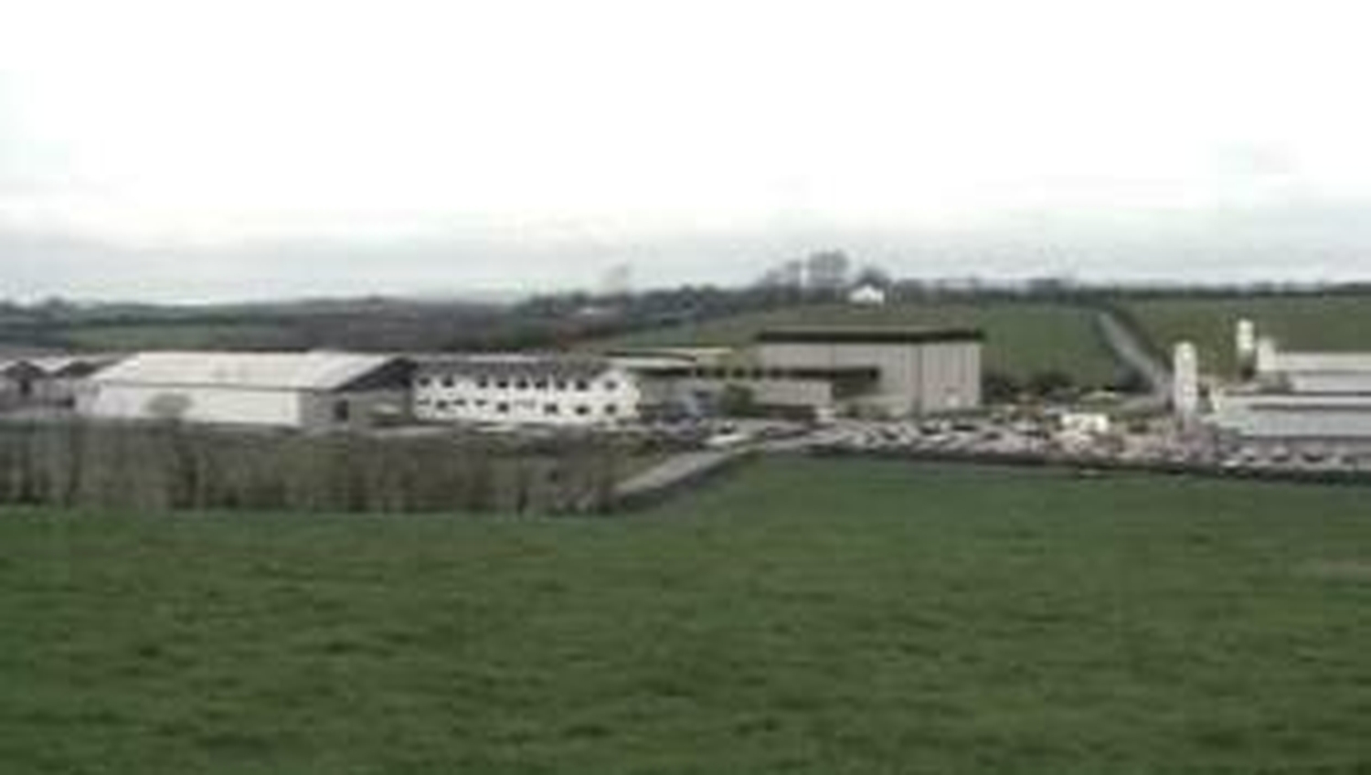 RTÉ Archives | Collections | Grove Farm Turkeys