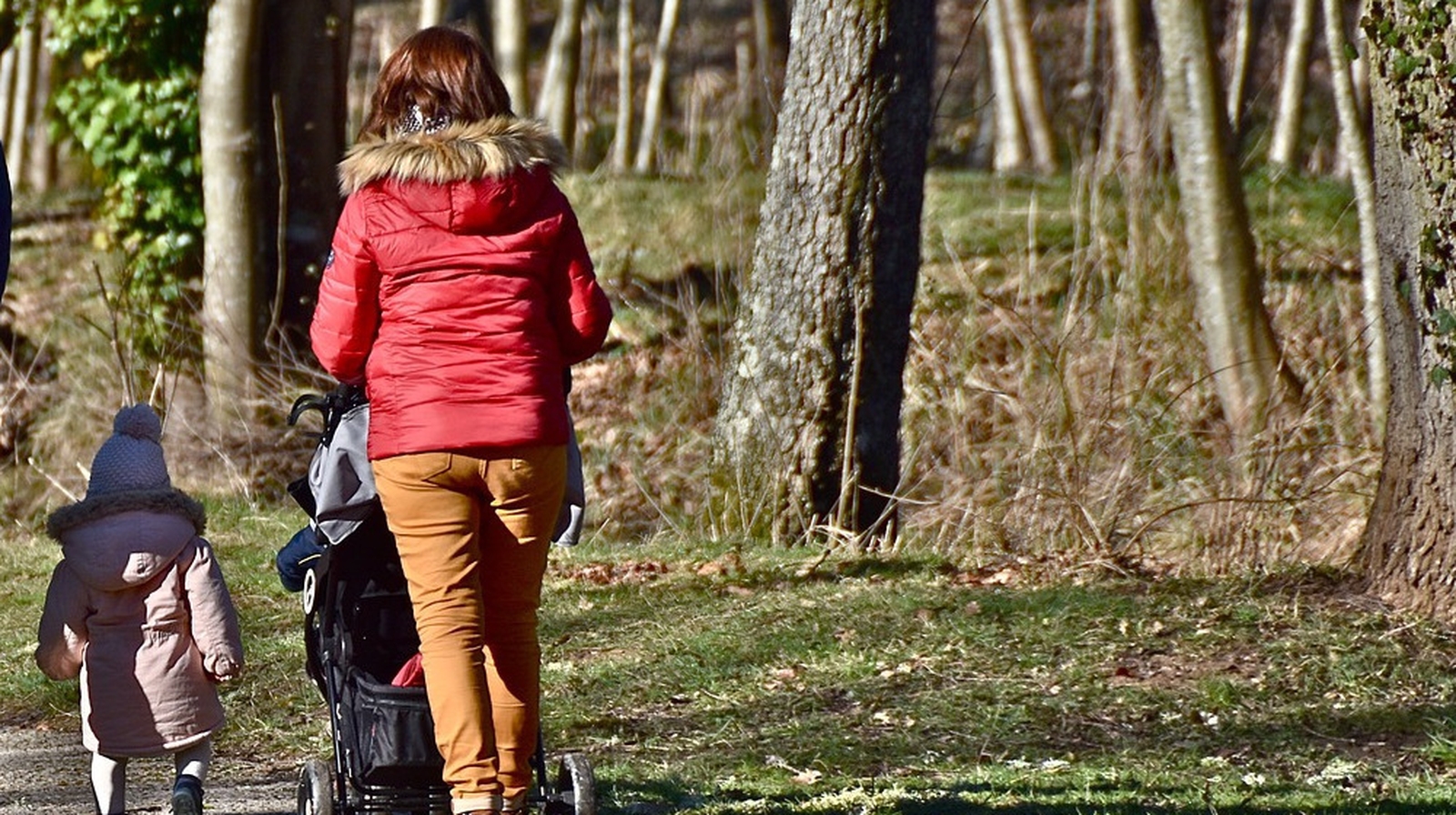 Poverty has doubled among working lone parents - SVP