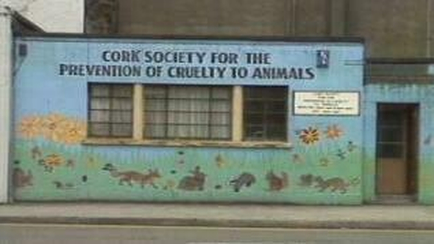 RTÉ Archives | Collections | Cork Animal Home