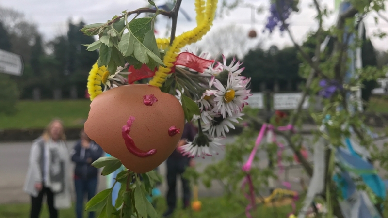 May Day alert - bringing the May Bush tradition back to life