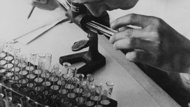 Microscopic remains of Nazi victims to be buried