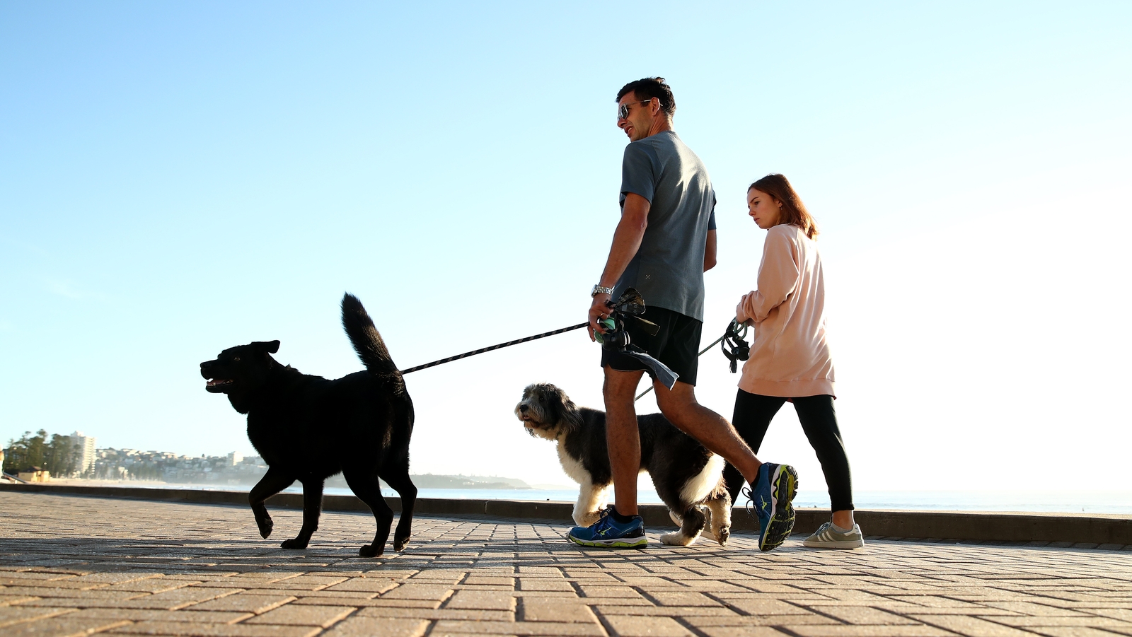 Many are holding their dog's lead wrong, say surgeons