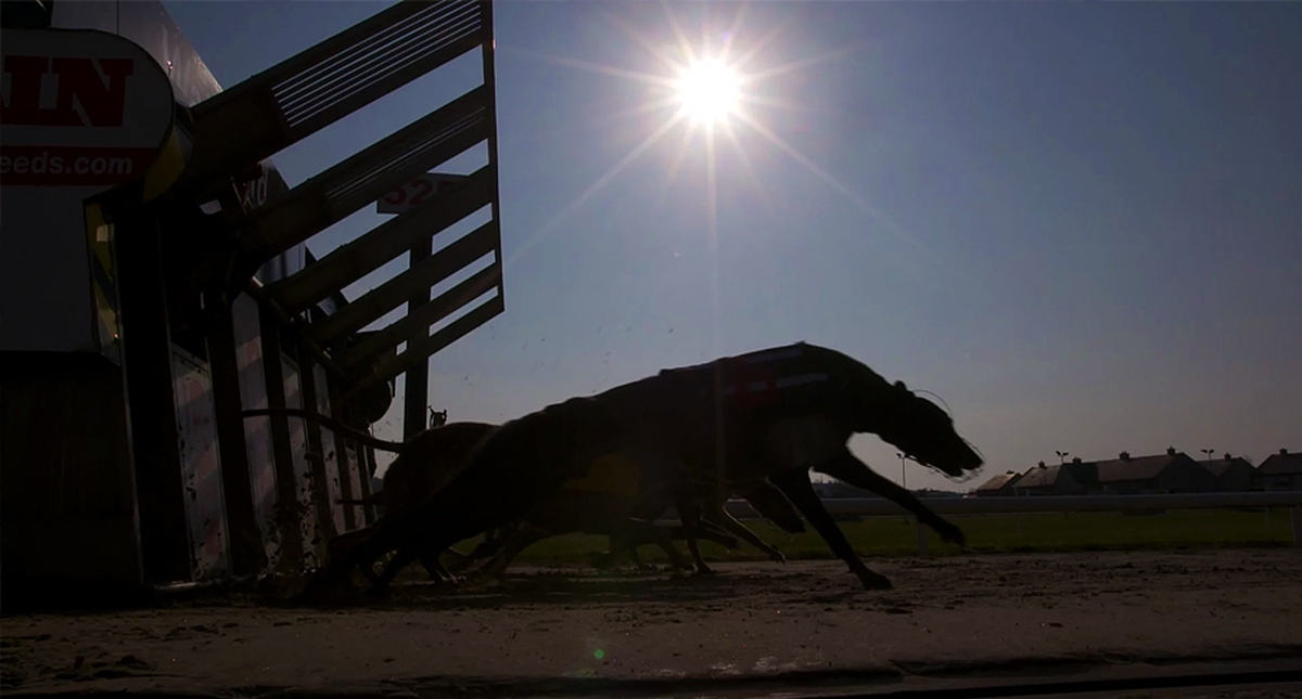 Greyhound Racing Funding | Today with Claire Byrne - RTÉ Radio 1