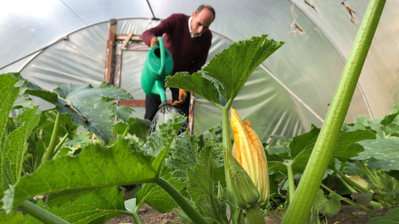 Syrian refugee horticulture project expands to Offaly