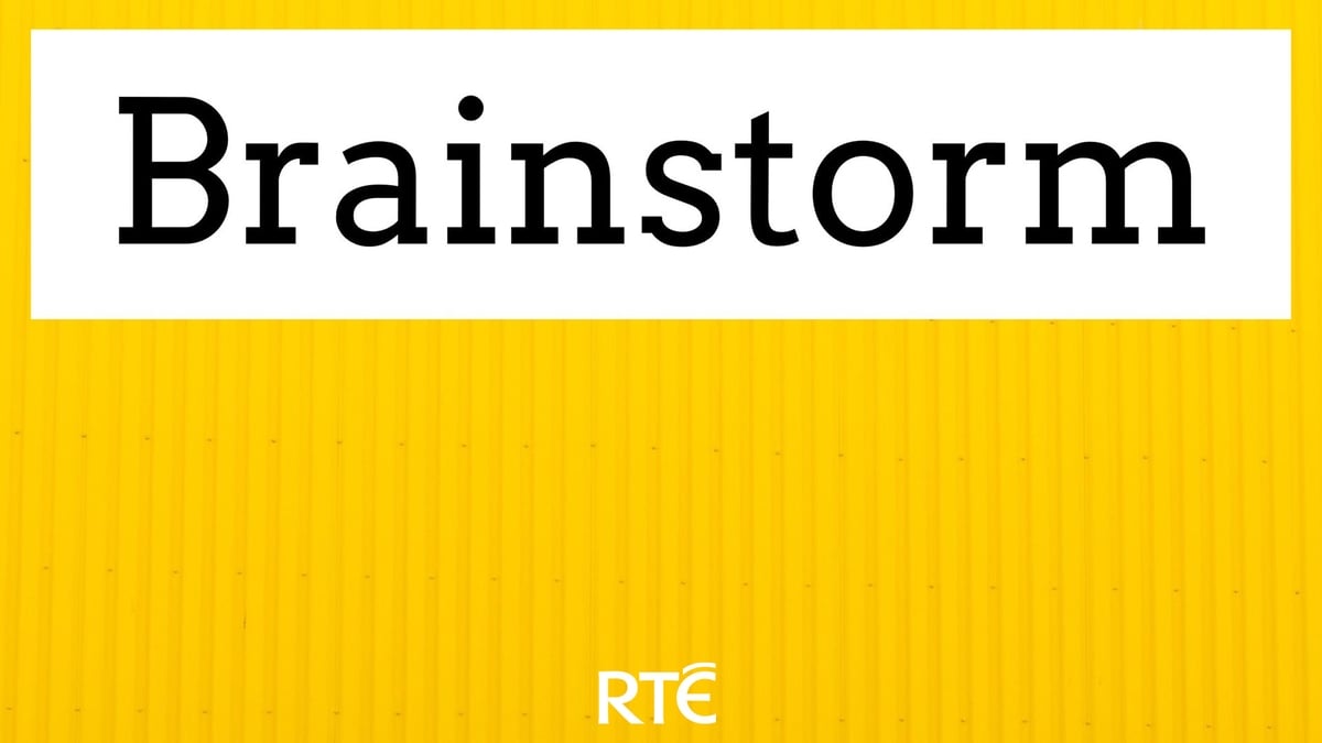 Bugging out about bees, spiders and more | Brainstorm | Brainstorm ...