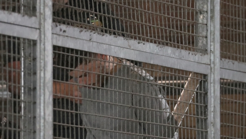 Man charged with murder of UK police officer