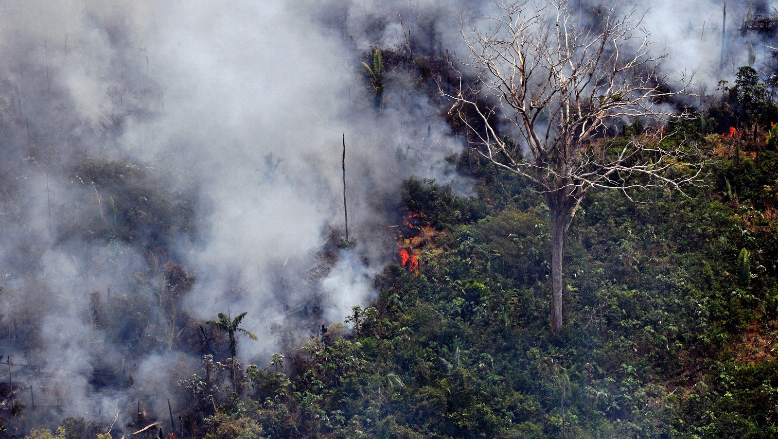 Hundreds of new fires in Brazil as Amazon outrage grows