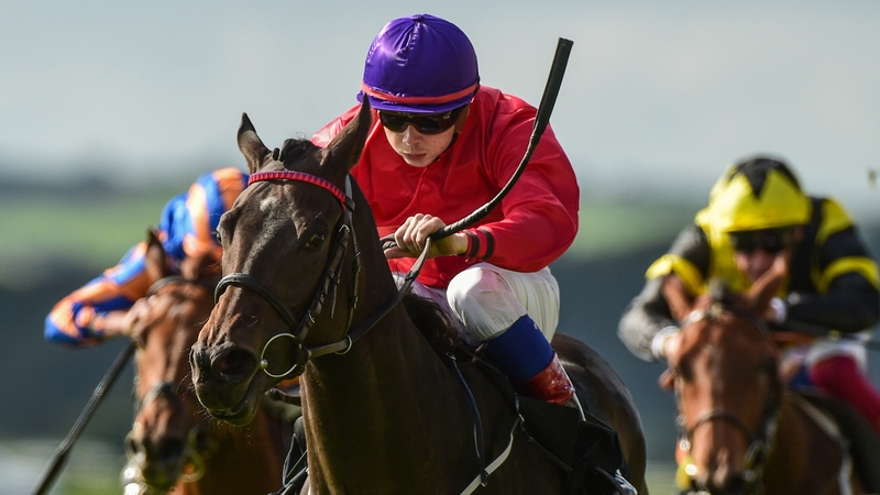 Skitter Scatter expected to make Tipperary statement