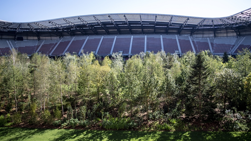 Nature Watch: Forest installed in Austrian stadium