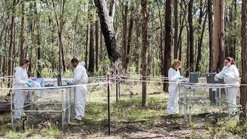 Scientist finds bodies move a year after death
