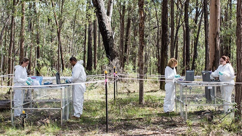 Scientist finds bodies move a year after death