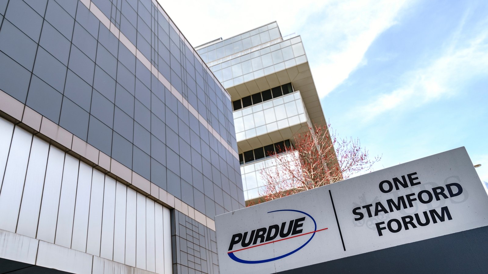 Purdue deal to rank among biggest in pharma history
